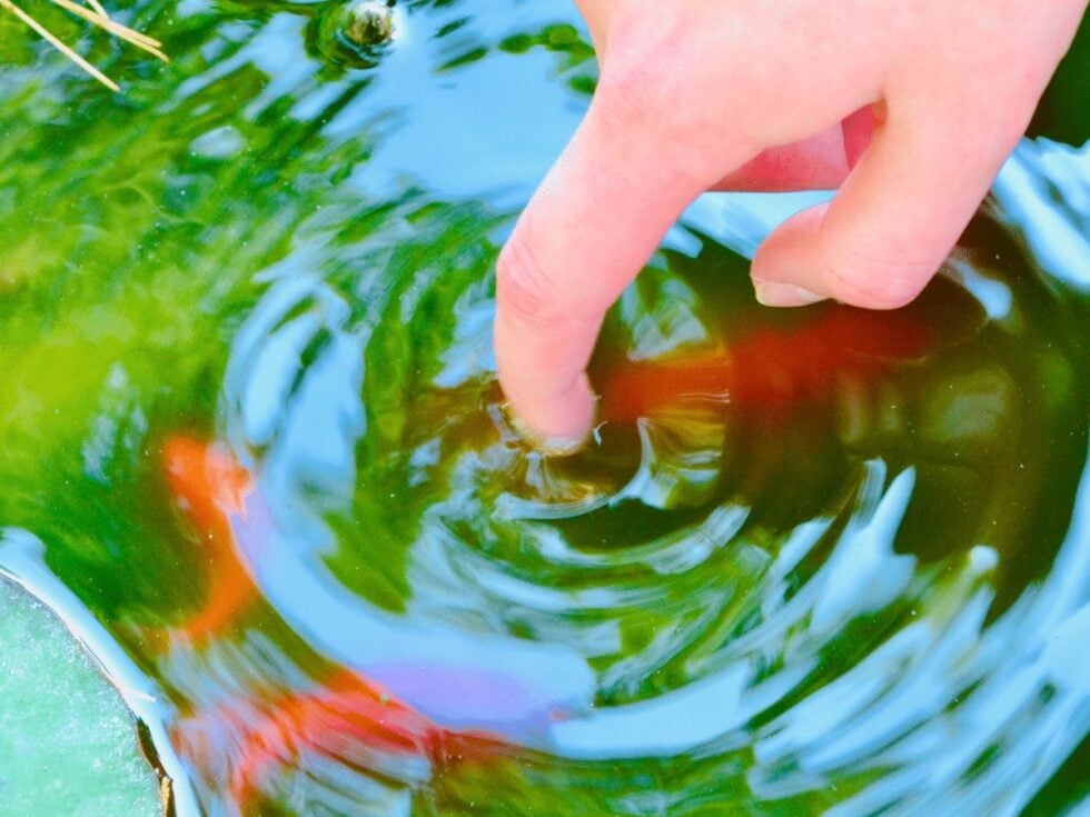 Short Anecdotes for Speeches and Parables to Amaze Your Audience